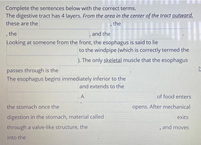 Solved Complete the sentences below with the correct terms. | Chegg.com