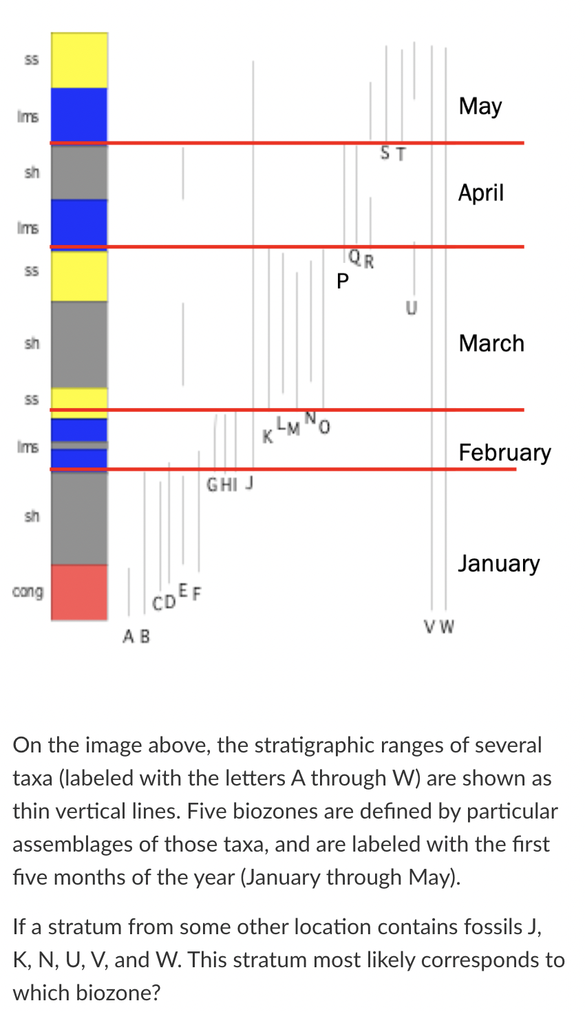 Solved On the image above, the stratigraphic ranges of | Chegg.com