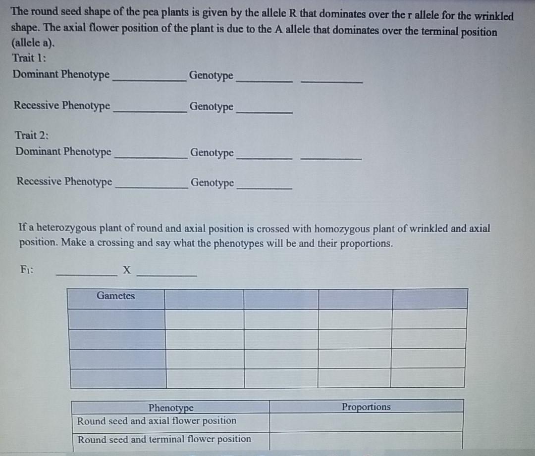 Solved The round seed shape of the pea plants is given by | Chegg.com