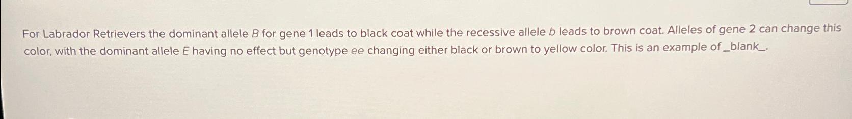 Solved Exit Assignment xMultiple Choice QuestionFor Labrador | Chegg.com