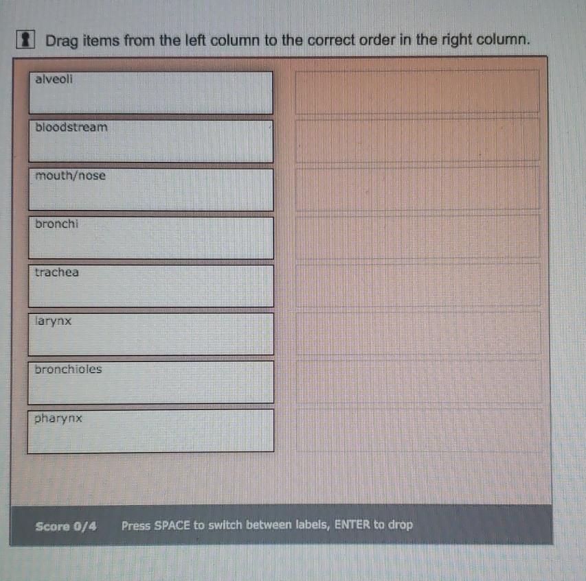 Solved Drag items from the left column to the correct order | Chegg.com
