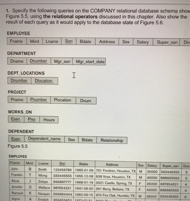 Solved 1. Specify the following queries on the COMPANY | Chegg.com