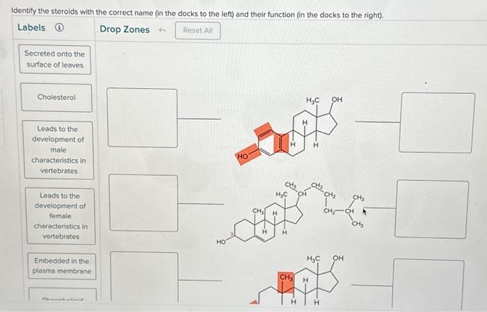 Solved Identify the steroids with the correct name (in the | Chegg.com Solved Identify the steroids with the correct name (in the | Chegg.com