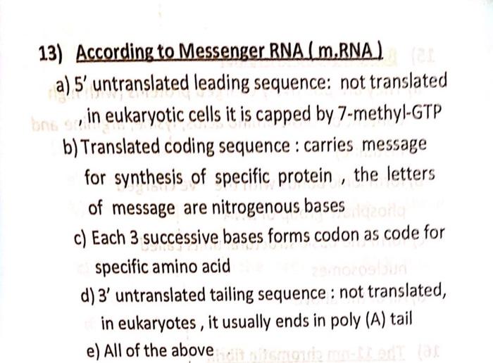 Solved 13) According to Messenger RNA (m, RNA) a) 5′ | Chegg.com