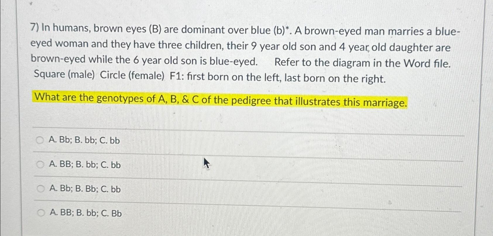 Solved In humans, brown eyes (B) ﻿are dominant over blue | Chegg.com