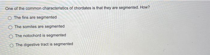 Solved One of the common characteristics of chordates is | Chegg.com