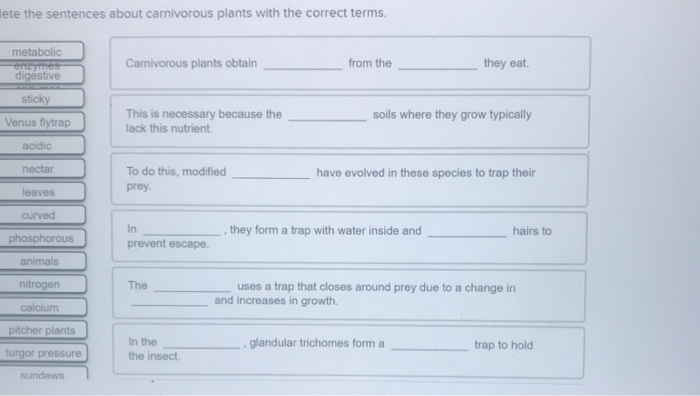 Solved ete the sentences about carnivorous plants with the | Chegg.com