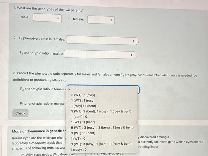 Solved Phenotypic ratios in dihybrid crosses In Drosophila, | Chegg.com