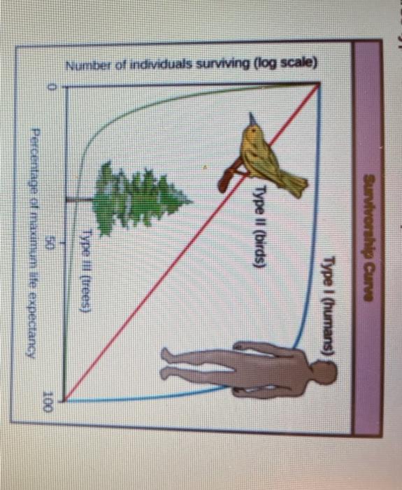 Solved Give an example of EACH OF THE THREE types of | Chegg.com