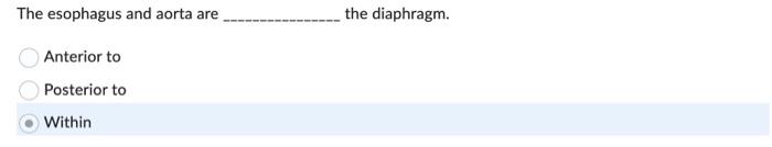 Solved In this bookmark, which organ is seen posterior to | Chegg.com