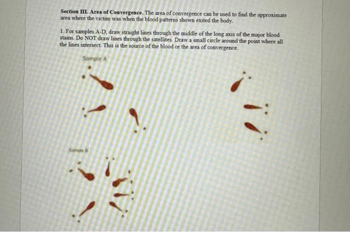 Section III. Area of Convergence. The area of | Chegg.com