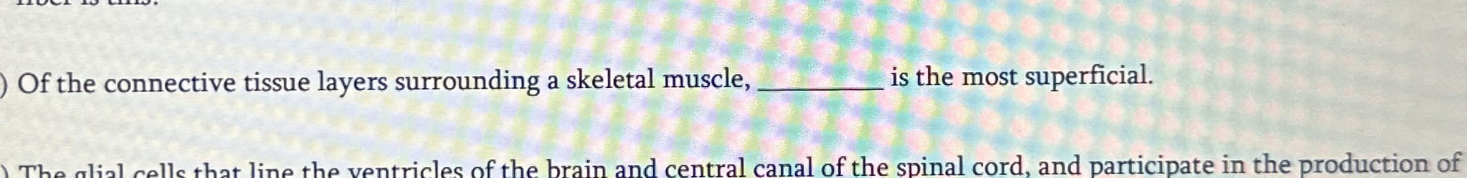 Solved Of the connective tissue layers surrounding a | Chegg.com