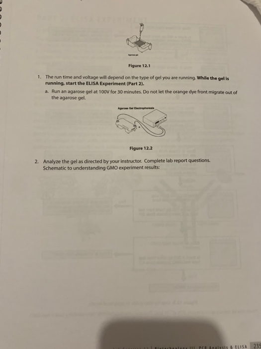 Solved: DATE: NAME SECTION/INSTRUCTOR:_ 12222222 PRE-LAB: ... | Chegg.com