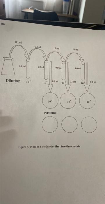 Solved (i) (iii) (iv) Figure 5: Dilution Schedule for first | Chegg.com