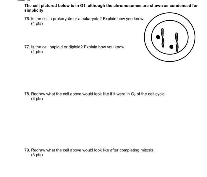 Solved The cell pictured below is in G1, although the | Chegg.com