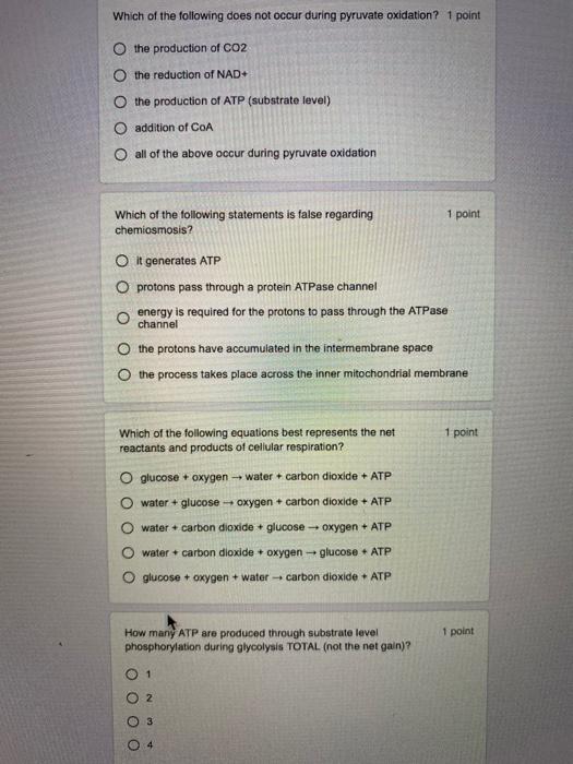 Solved Which of the following does not occur during pyruvate | Chegg.com