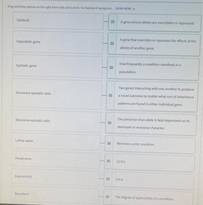 Solved Drag and drop options on the right-hand side and | Chegg.com