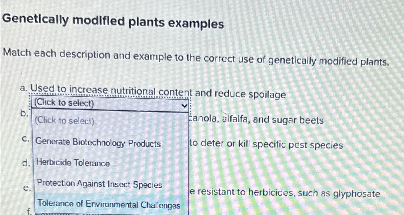 Solved Genetically modified plants examplesMatch each | Chegg.com