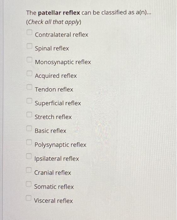 Solved The patellar reflex can be classified as a(n)... | Chegg.com