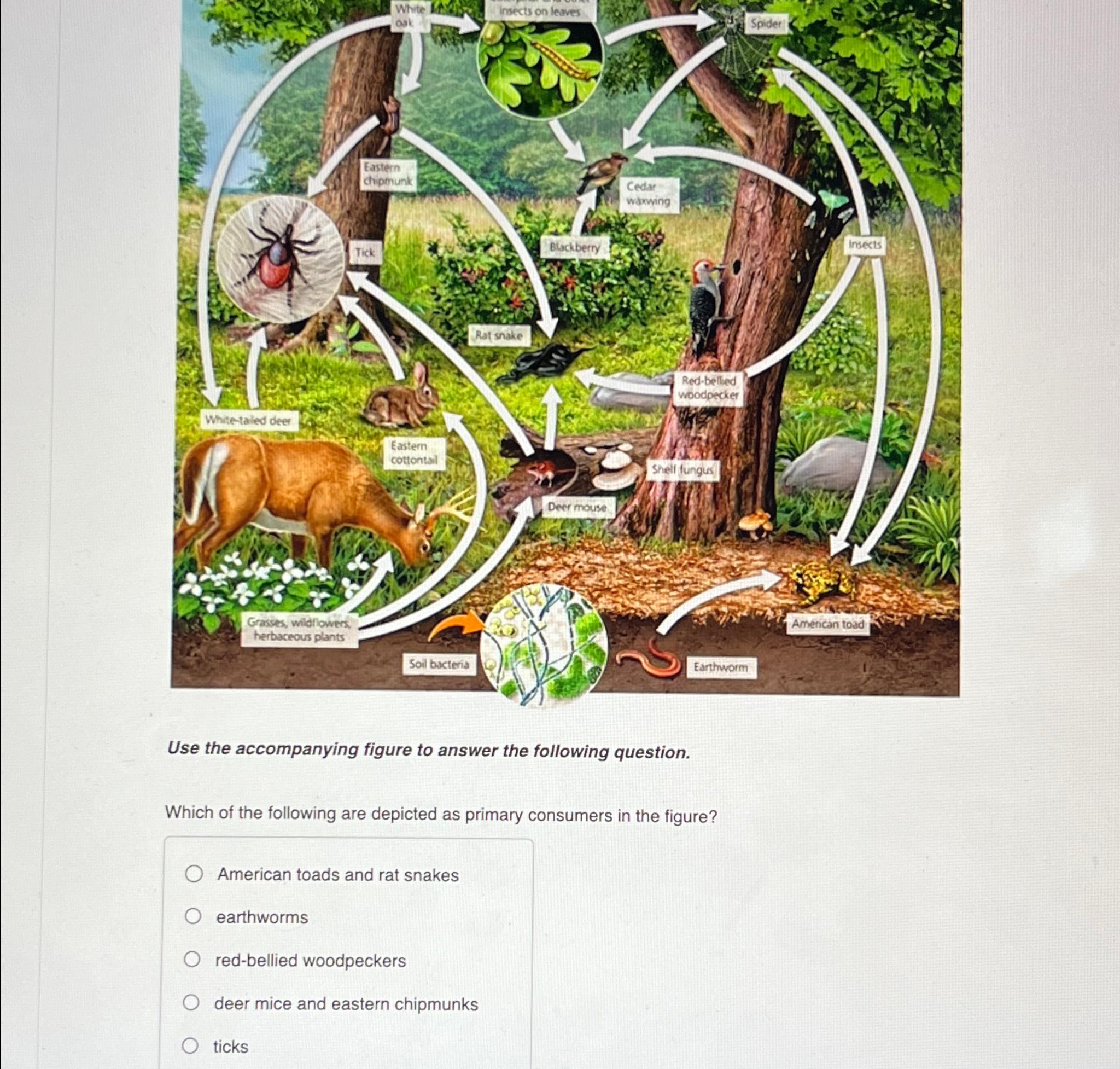 Solved Use the accompanying figure to answer the following | Chegg.com
