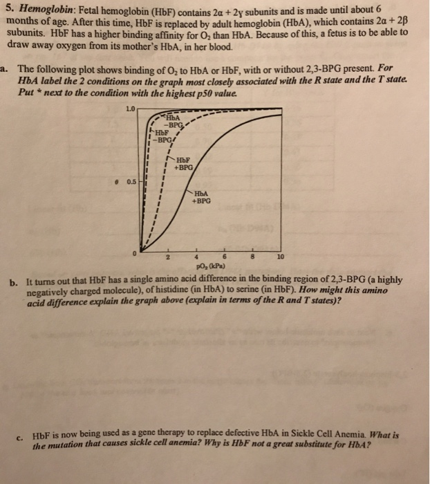3. Hemoglobin: Fetal hemoglobin (HbF) contains 2a + | Chegg.com