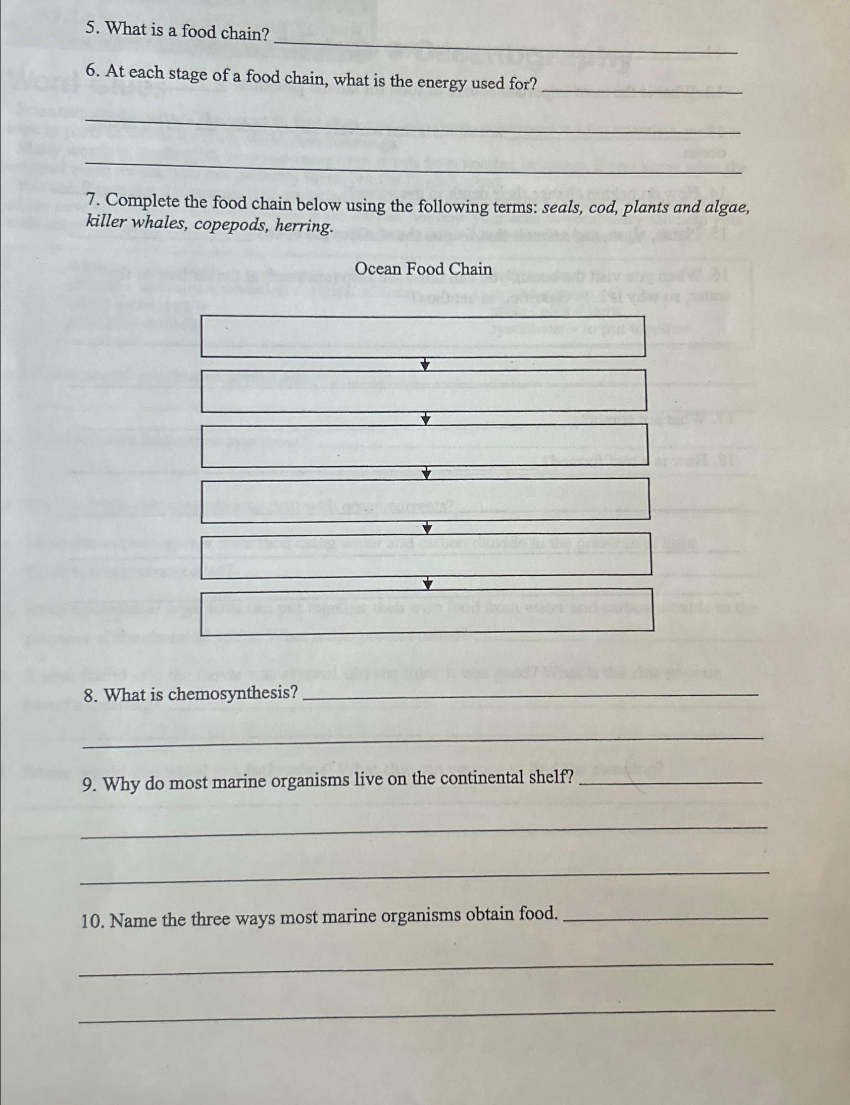 Solved What is a food chain?At each stage of a food chain, | Chegg.com