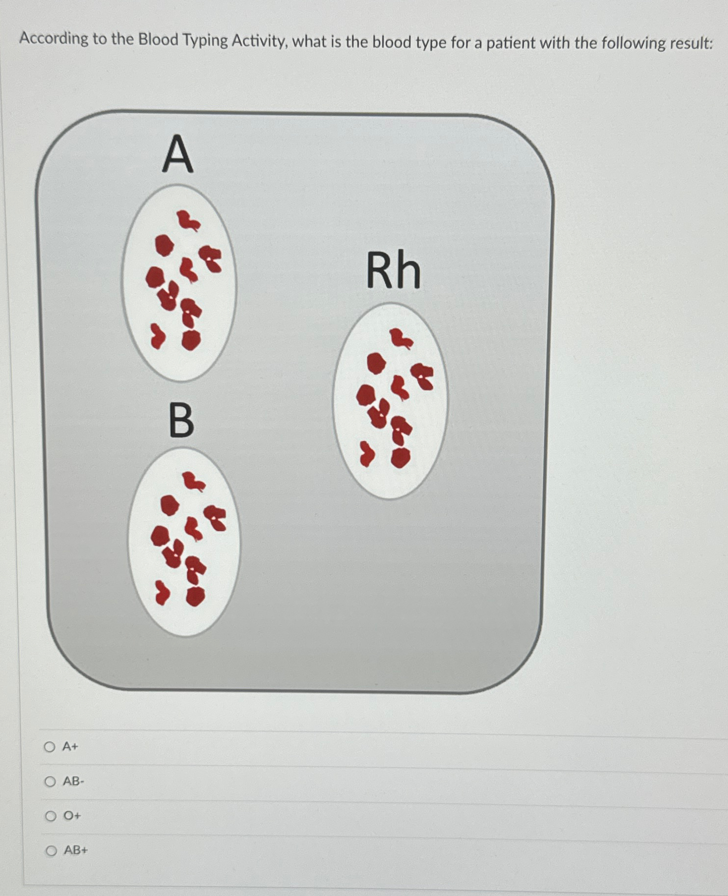 Solved According to the Blood Typing Activity, what is the | Chegg.com