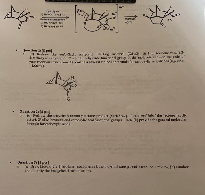 - Question 1: [5 pts] (a) Redraw the endo-Nadic | Chegg.com