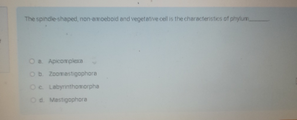 Solved The spindle-shaped, non-amoeboid and vegetative cell | Chegg.com