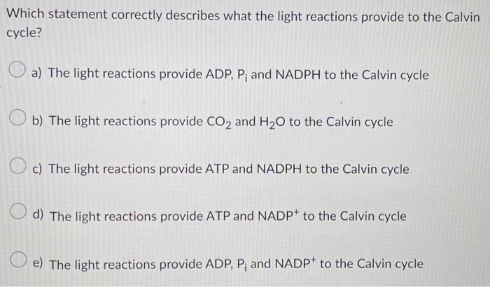 Solved In The Sexual Life Cycles Discussed In Lecture Which
