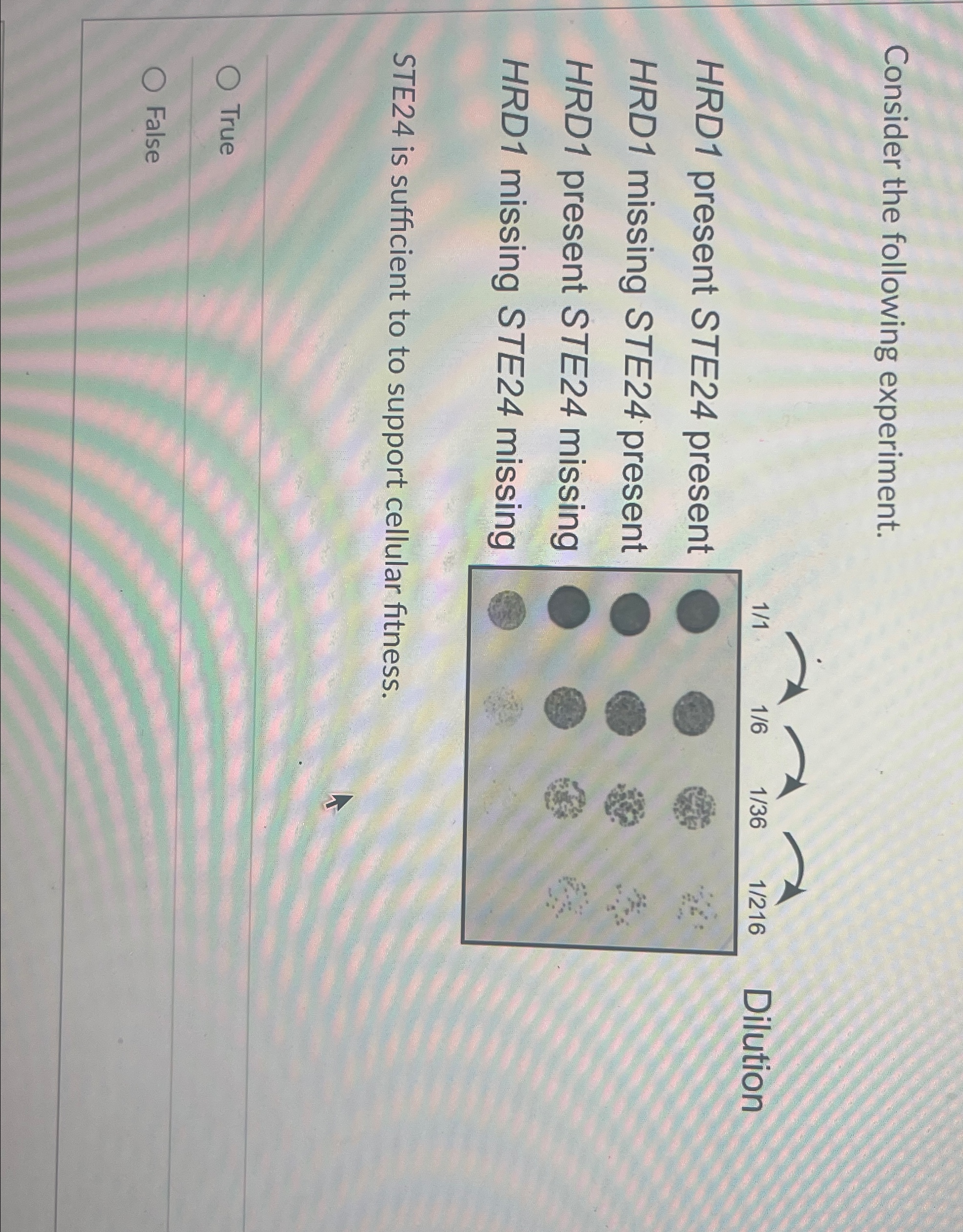 Solved Consider the following experiment.DilutionHRD1 | Chegg.com