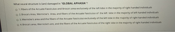 Solved An injury to the Operculum of the left frontal lobe | Chegg.com