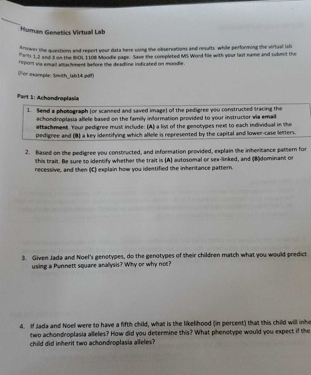 Human Genetics Virtual Lab Answer the questions and | Chegg.com