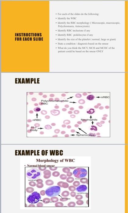 Solved SUDE \# 8 SIIDE \# 9 - For cach of the | Chegg.com