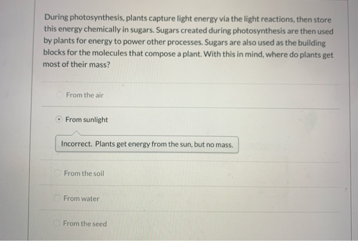 Solved During photosynthesis, plants capture light energy | Chegg.com