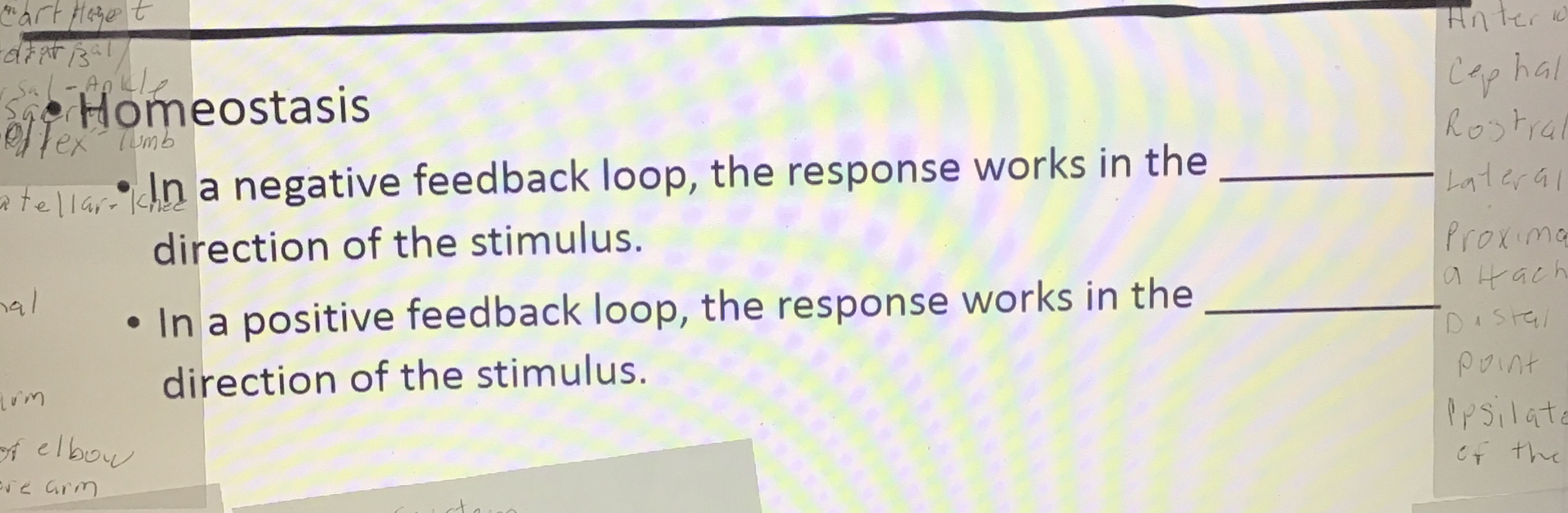 HomeostasisIn a negative feedback loop, the response | Chegg.com