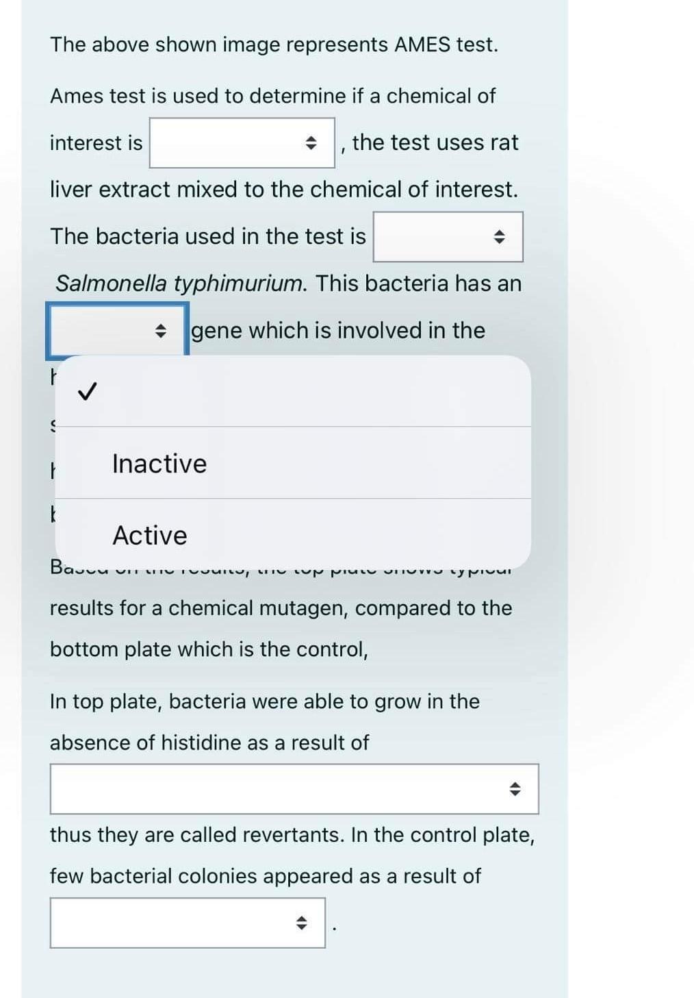 Solved The above shown image represents AMES test. Ames test | Chegg.com