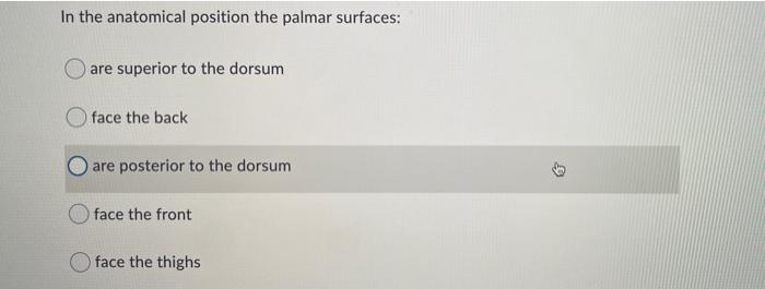 Solved In the anatomical position the palmar surfaces: Oare | Chegg.com
