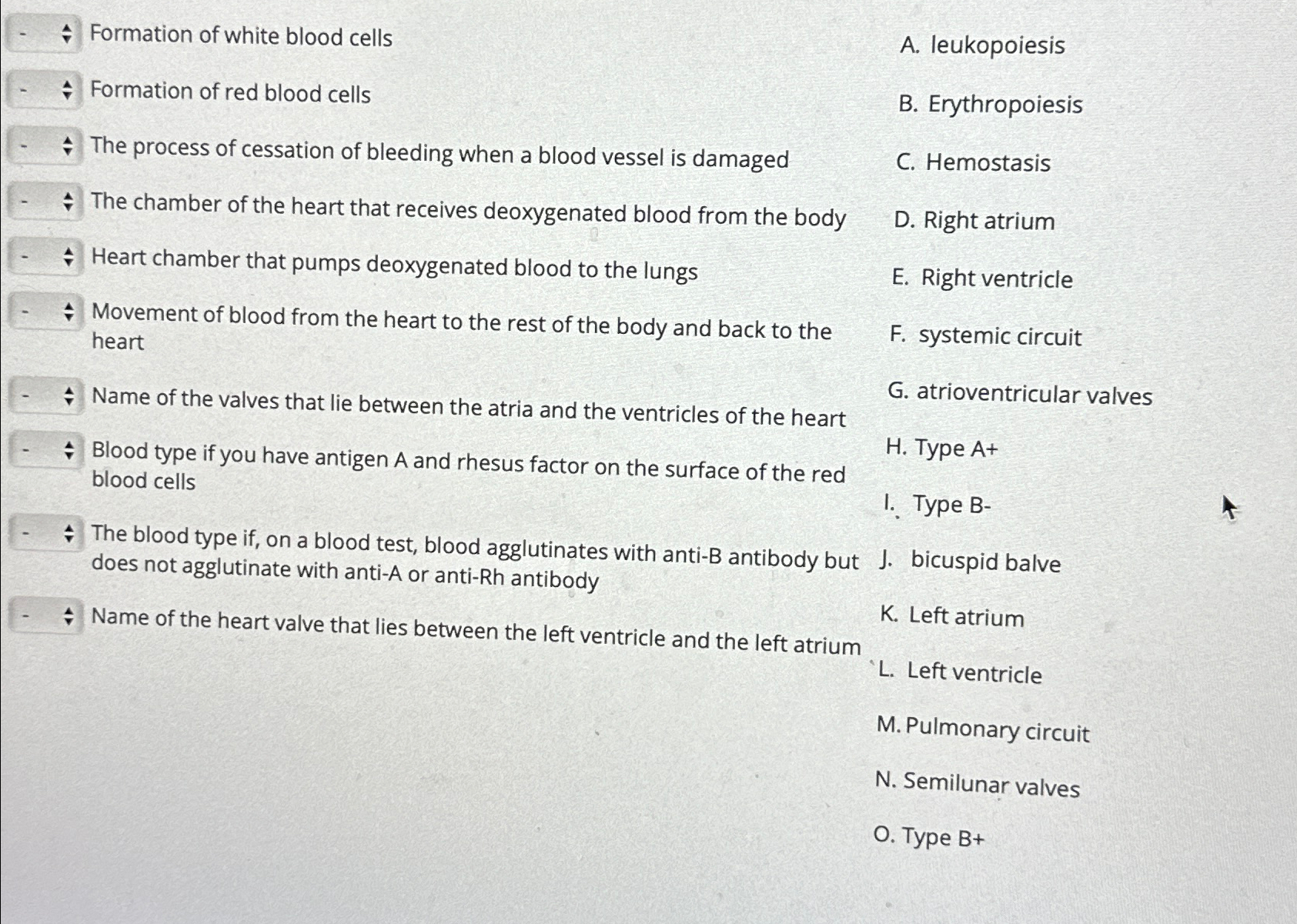 Solved Formation of white blood cellsFormation of red blood | Chegg.com