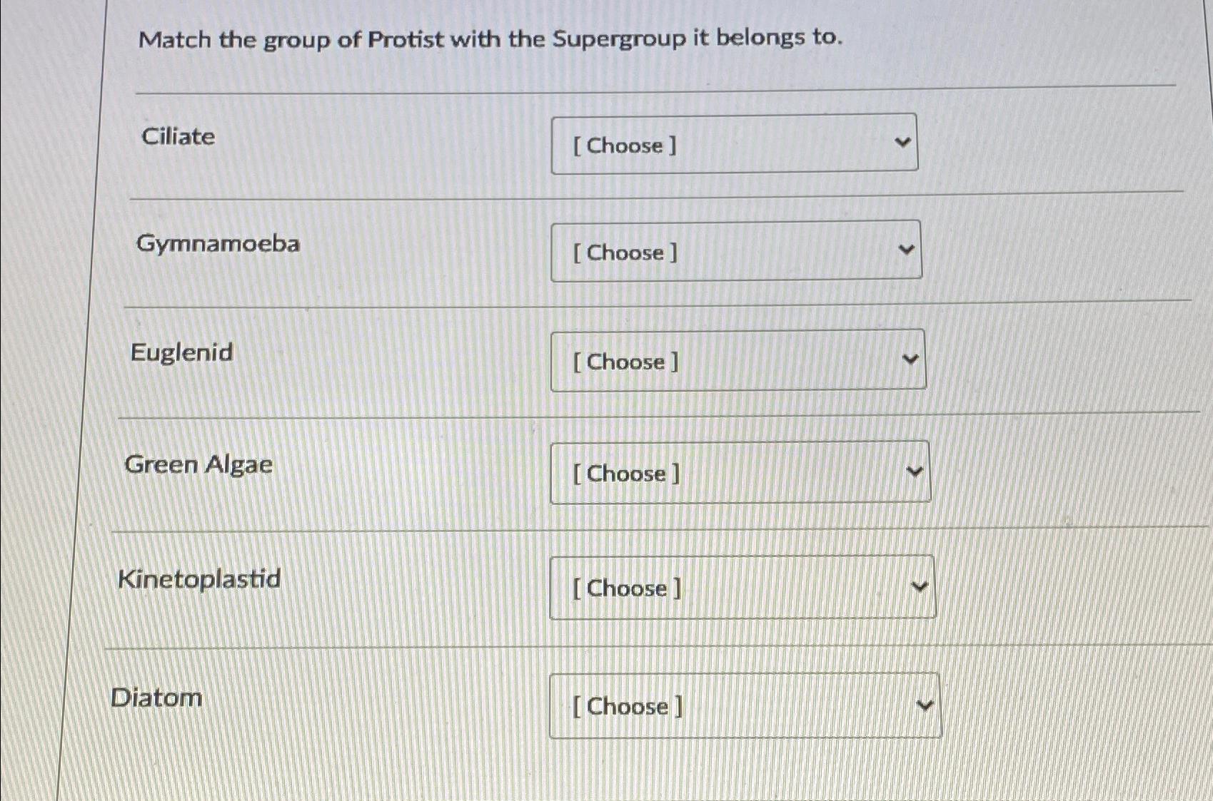 Solved Match the group of Protist with the Supergroup it | Chegg.com