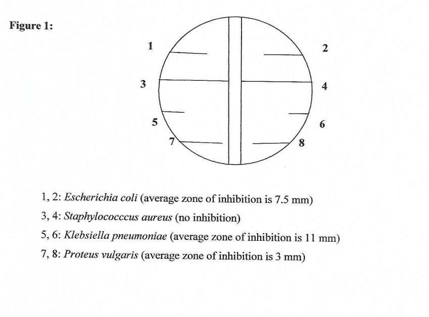 Solved 3) Study the photo of the giant colony in Figure 1 | Chegg.com