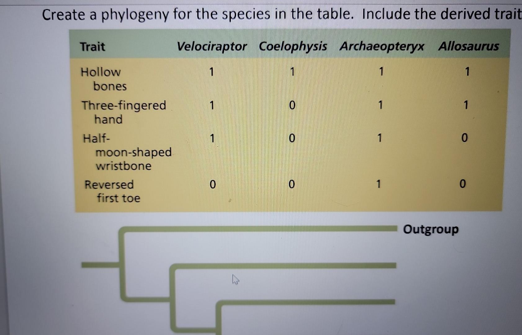 Create a phylogeny for the species in the table. | Chegg.com