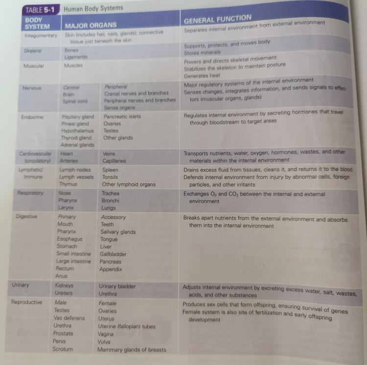 GENERAL FUNCTION Separates internal environment from | Chegg.com