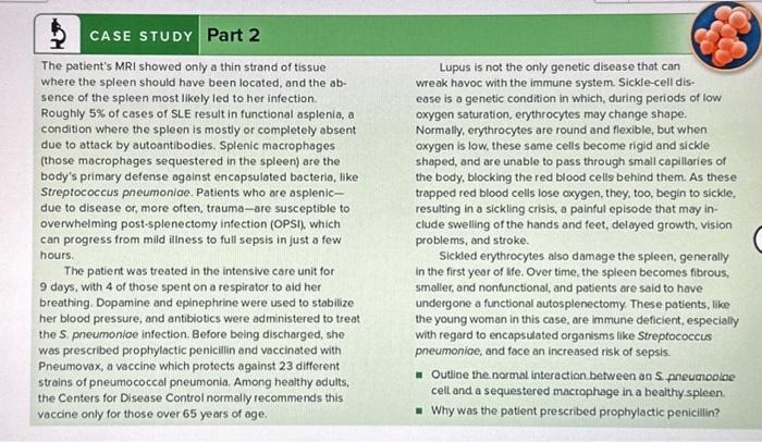 Solved Outline the normal interaction between an S. | Chegg.com