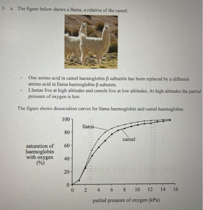 Solved 3. a. The figure below shows a llama, a relative of | Chegg.com