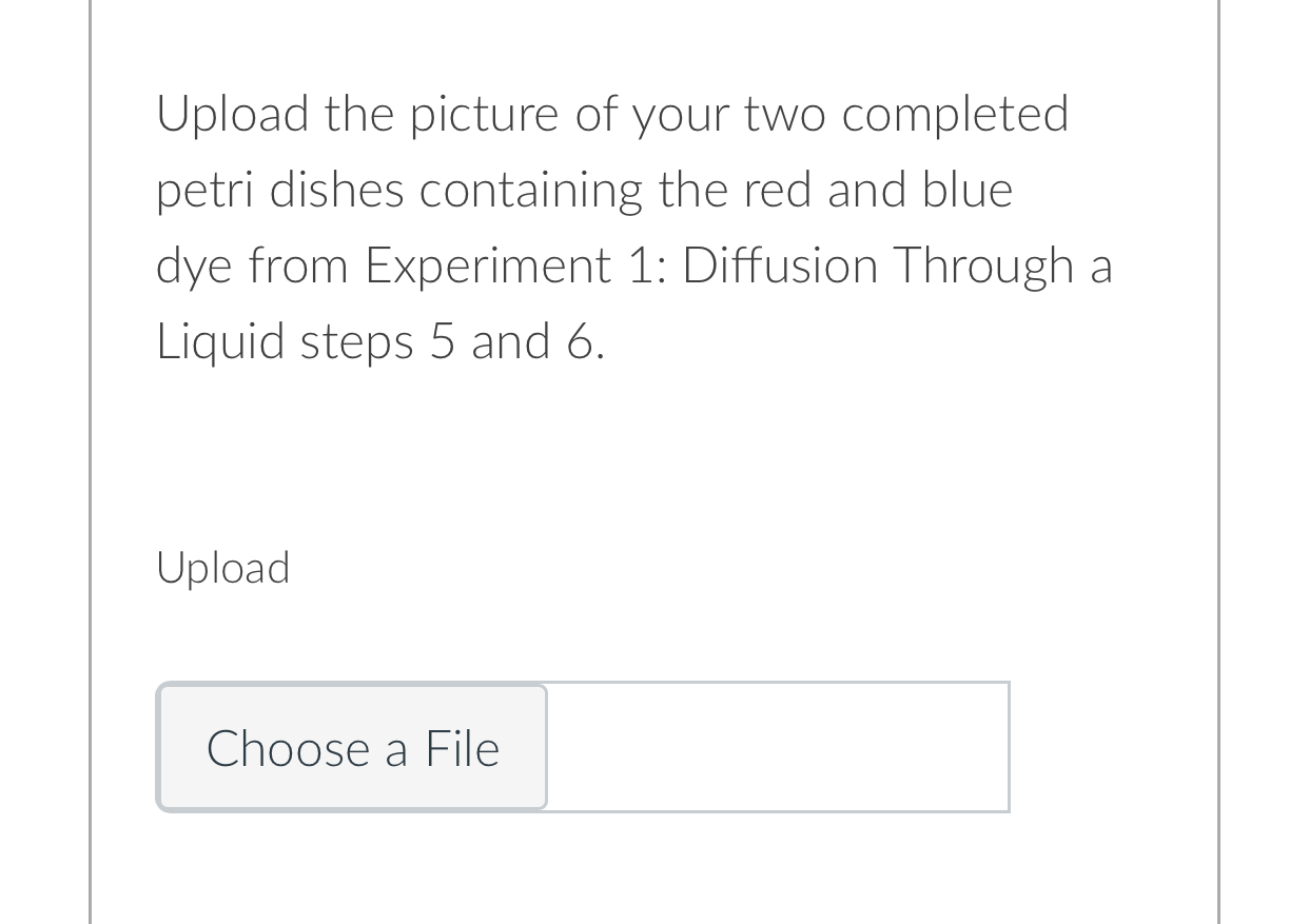 Upload the picture of your two completed petri dishes | Chegg.com