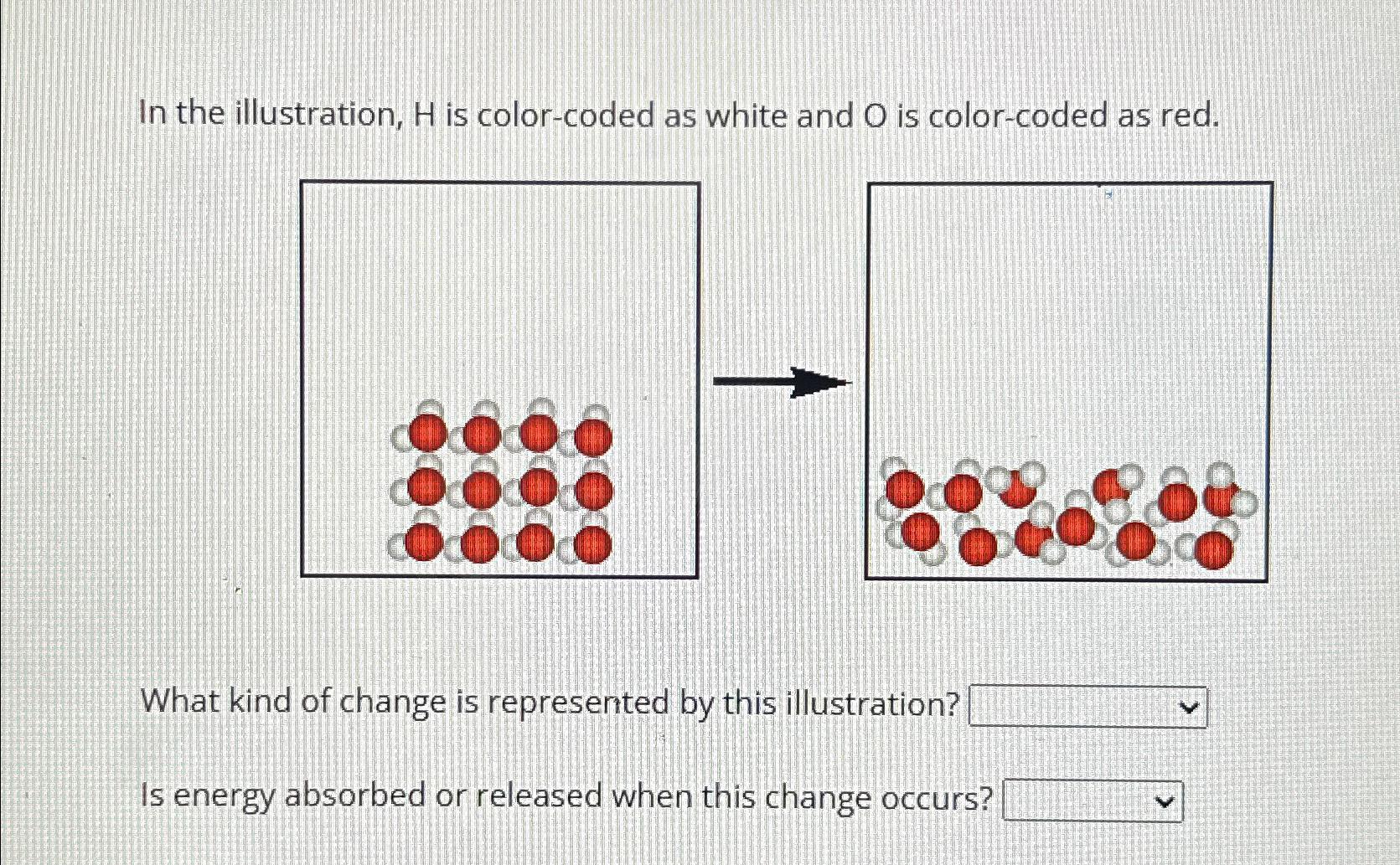 Solved In the illustration, H ﻿is color-coded as white and O | Chegg.com