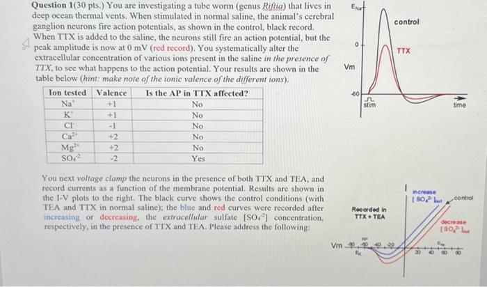 Solved Question 1(30 pts.) You are investigating a tube worm | Chegg.com