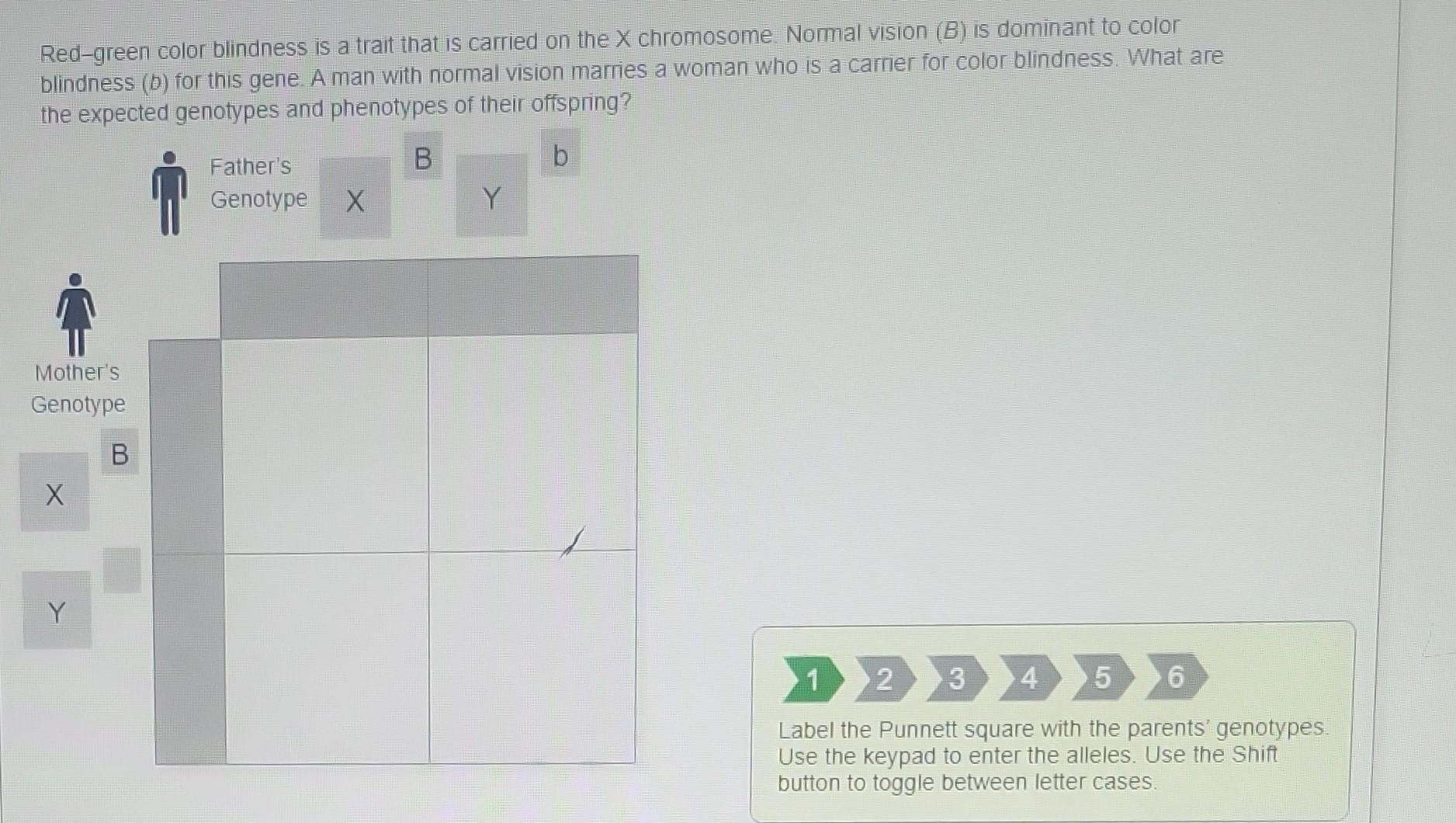Solved Red-green color blindness is a trait that is carried | Chegg.com