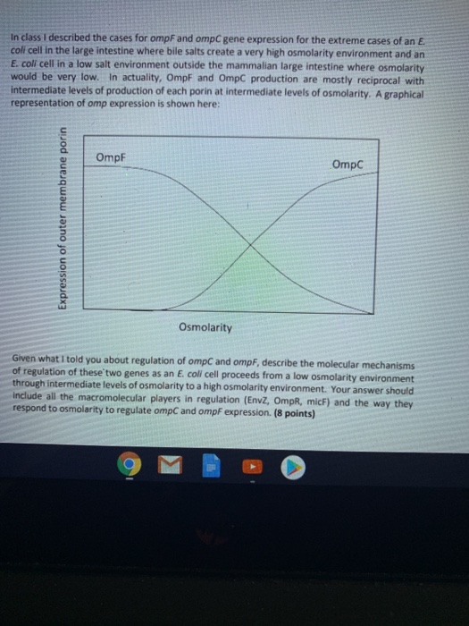 Solved In class I described the cases for ompF and ompc gene | Chegg.com